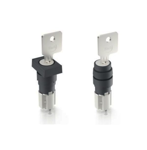 Rafi Lumotast 75 IP40 Keylock Switch | Petracarbon