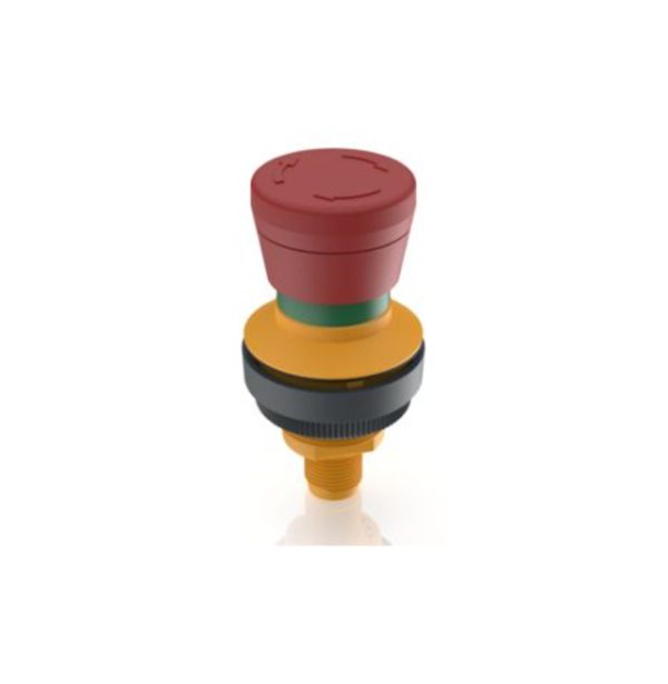 Rafi Ramo 30 E Key Switches | Petracarbon